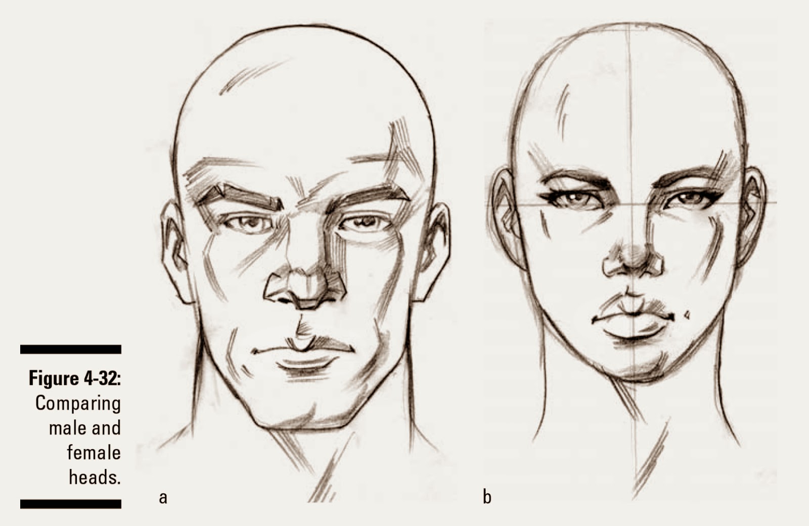 Drawings: Parts of the Head