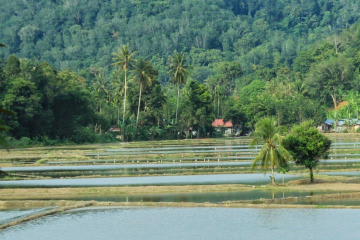 Full time taxi driver. Part time blogger & small time instafx investor ...