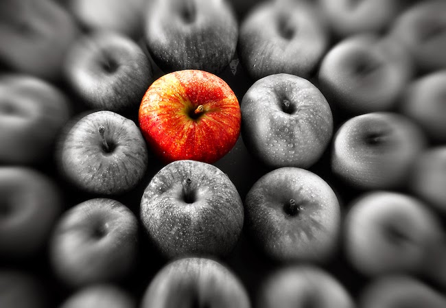 Red Apple Photography Inspiration ~ Pixekite