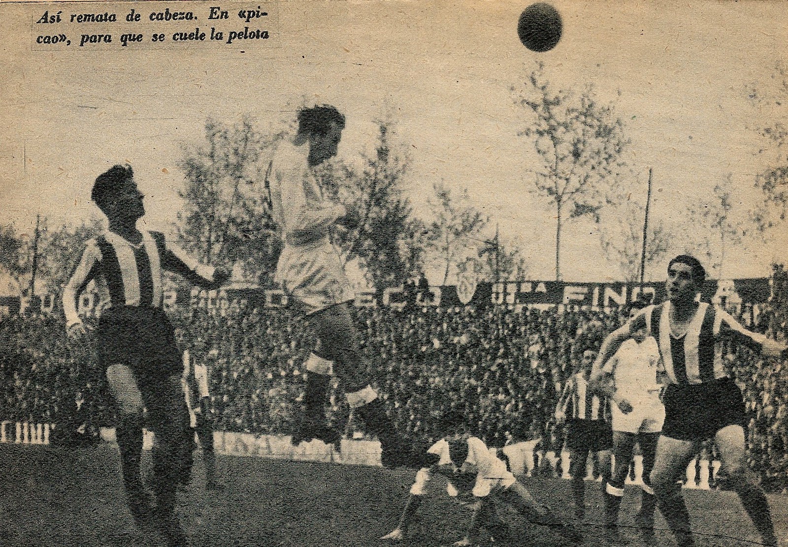 CRONICAS SEVILLISTAS DE PEPEELE: JOSE GARCIA CASTRO"PEPILLO"