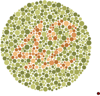 Contoh Tes Buta Warna Dan Jawabannya | Ide Perpaduan Warna