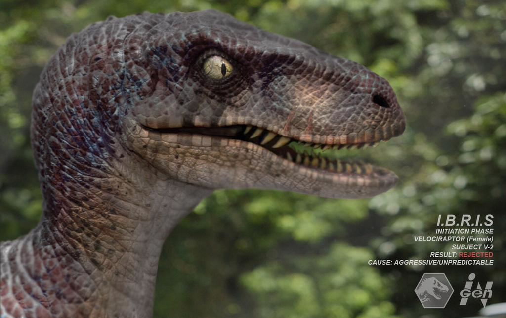 Curiosidades jurássicas: Velociraptor sornarensis e nublarensis ...