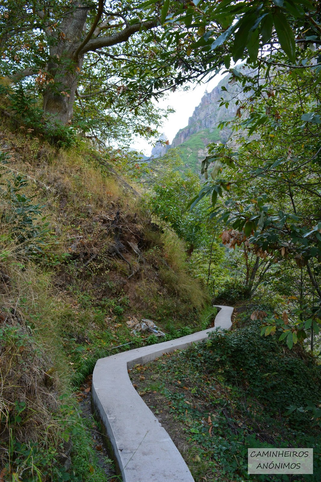 Caminheiros Anónimos Levadas da Madeira : Levada do Pico Furão (Curral ...