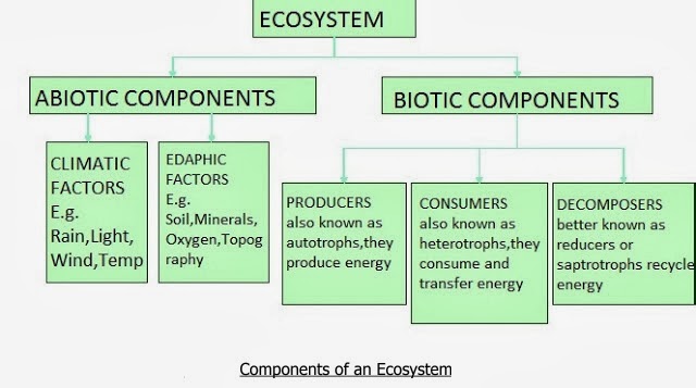 DPMAHANTI Personal: Components of an Ecosystem