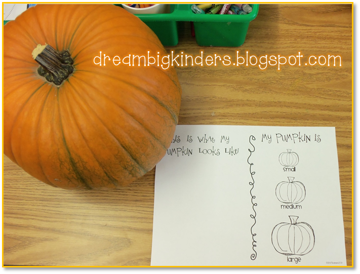 Dream Big Kinders: All about Pumpkins! and a FREEBIE!