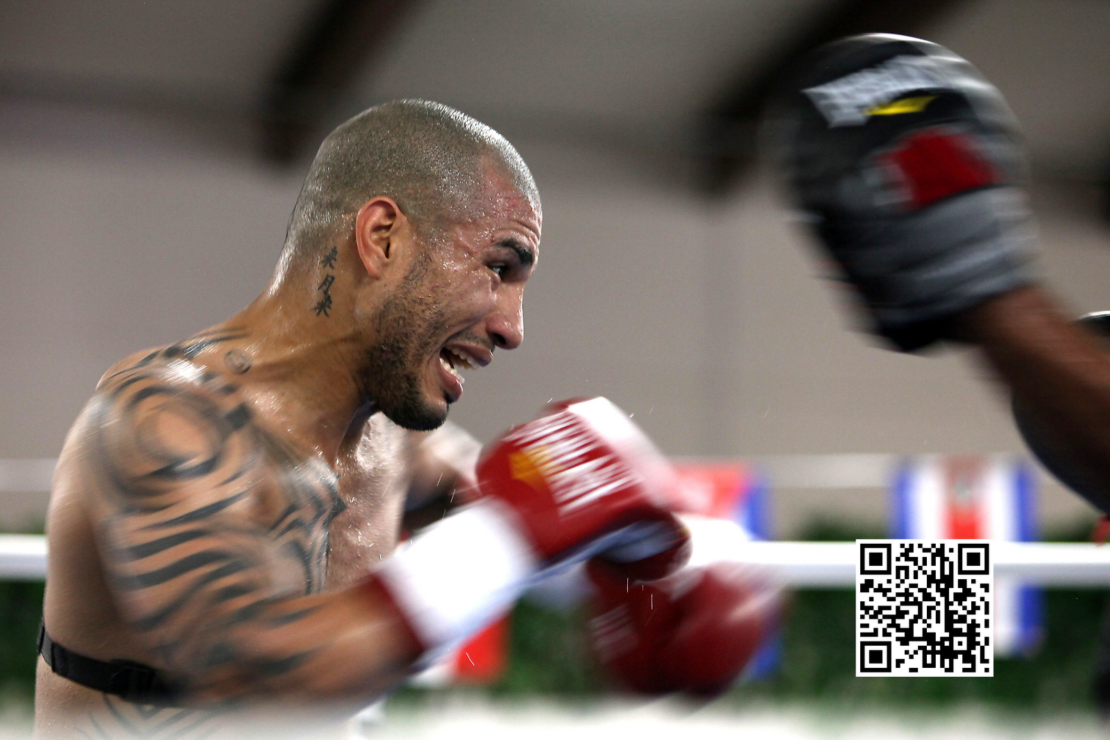 Alex Menendez: Miguel Cotto Boxing Media Day