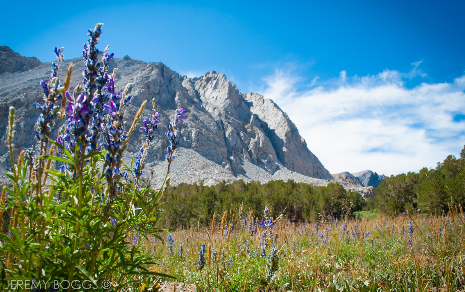 Adventure Los Angeles: Dorothy & Tamarack Lakes - Sierra Nevada Backpacking