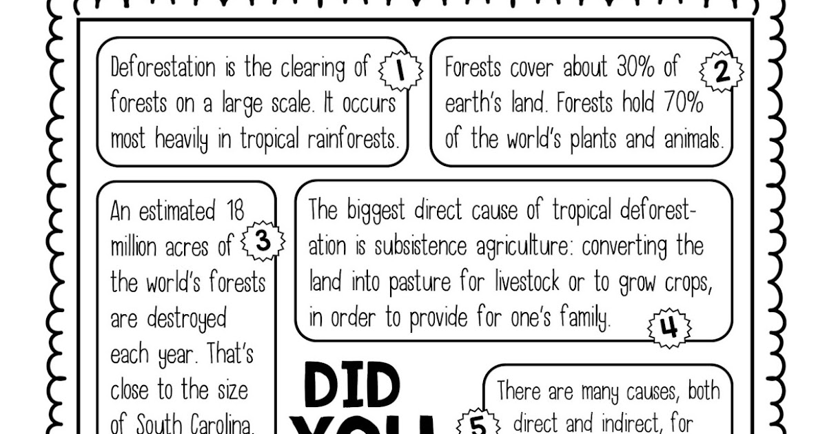 Narrative Essay: Short speech on deforestation