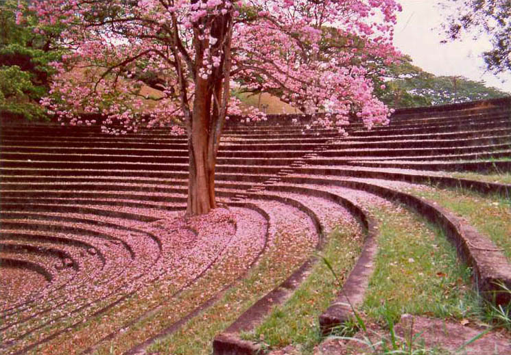 Sri Lanka University News Education Campus School Latest Updates ශ්‍රී ...