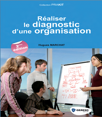 Réaliser le diagnostic d'une organisation - Bibliothèque des Leaders