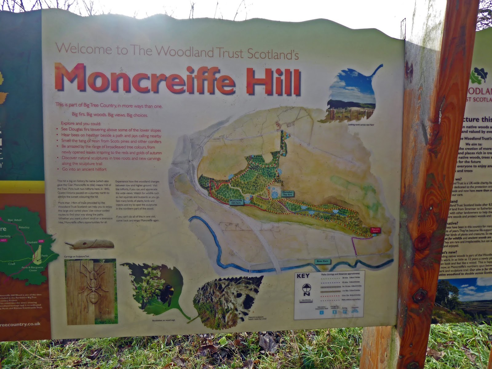Desmondo's Ramblings: Moncrieffe Hill a woodland walk through Pictish ...