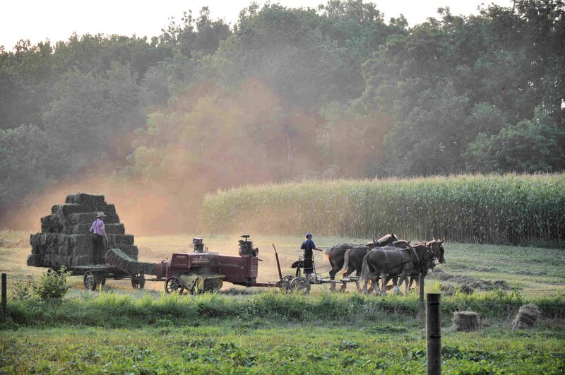 The Amish