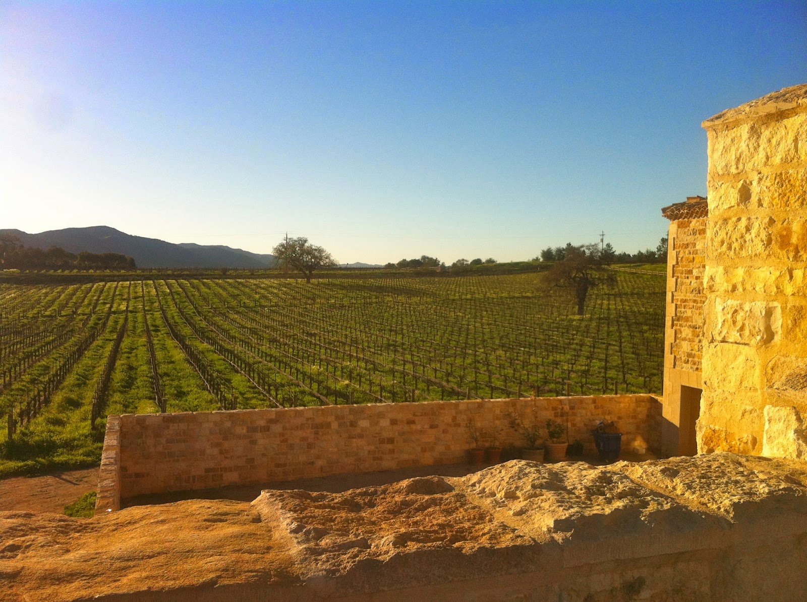 The Wine Contessa: WINE CONTESSA PRESENTS….DESTINATION VINE, A FULL ...