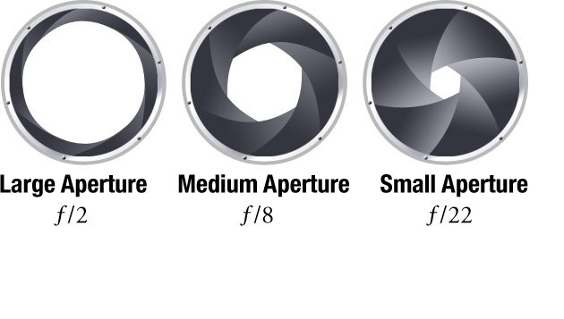Technology: What is the difference between a 16 MP smartphone camera ...