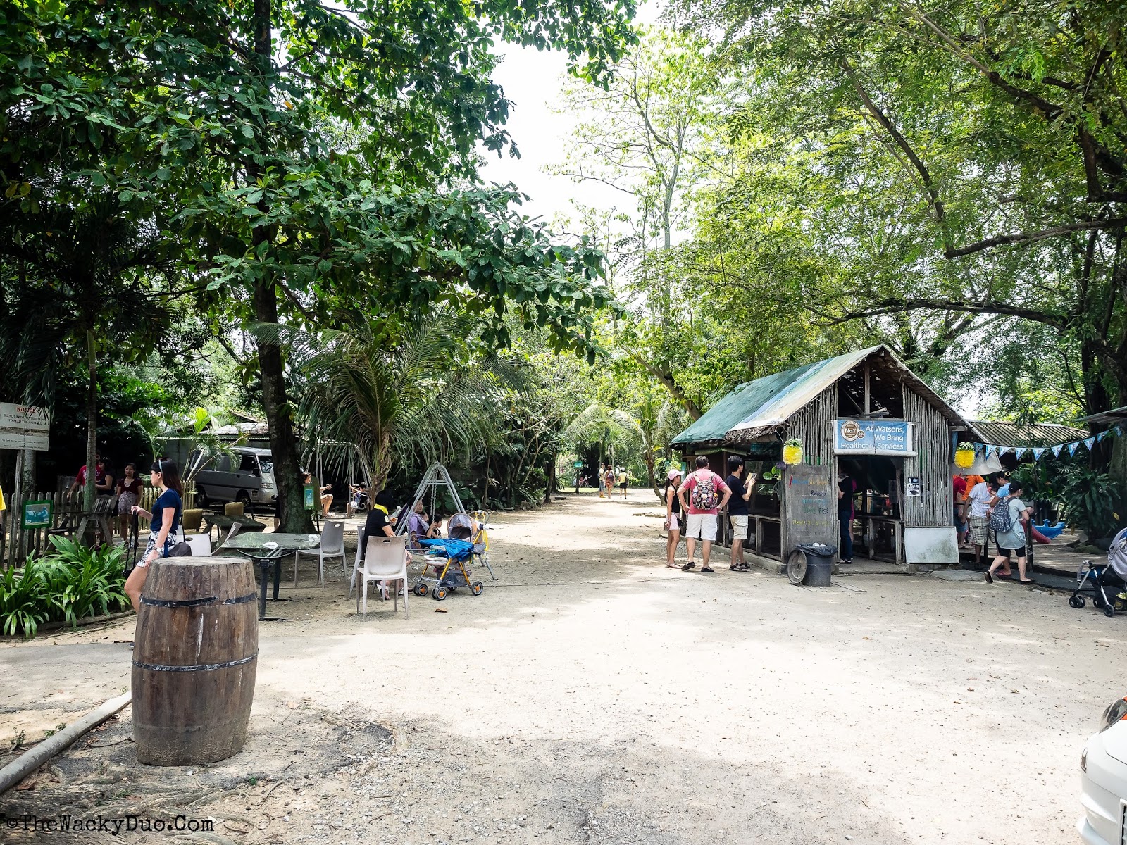 The Animal Resort Singapore @ Seletar West Farmway Review - TheWackyDuo ...