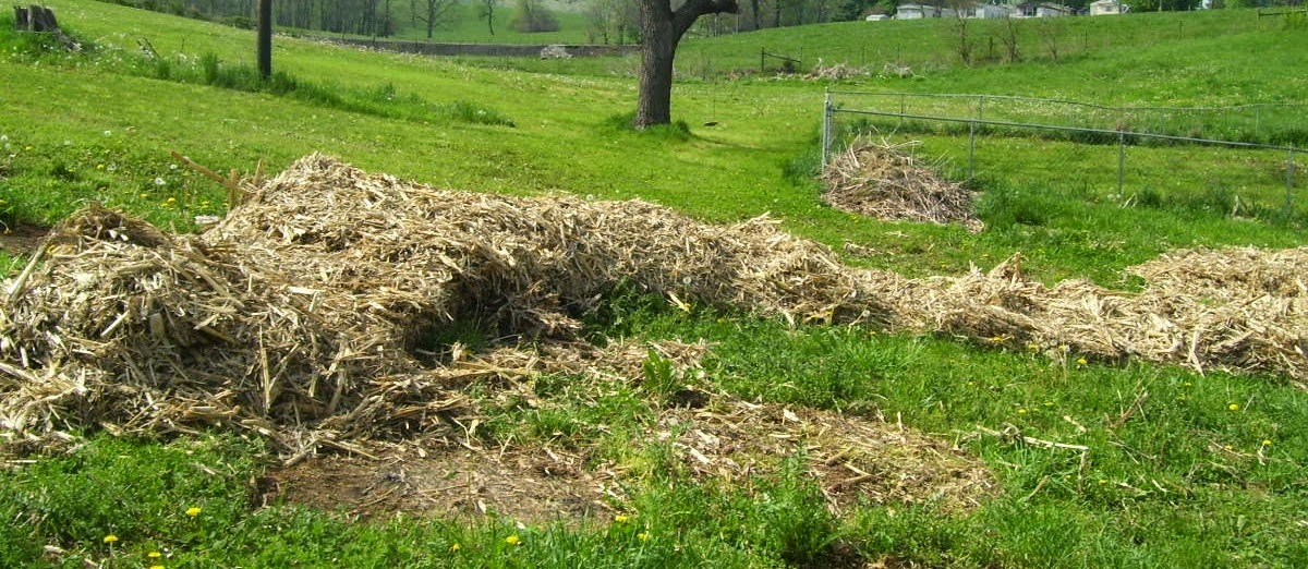 City Mouse Becomes Country Mouse: In Which Rotting Organic Matter ...