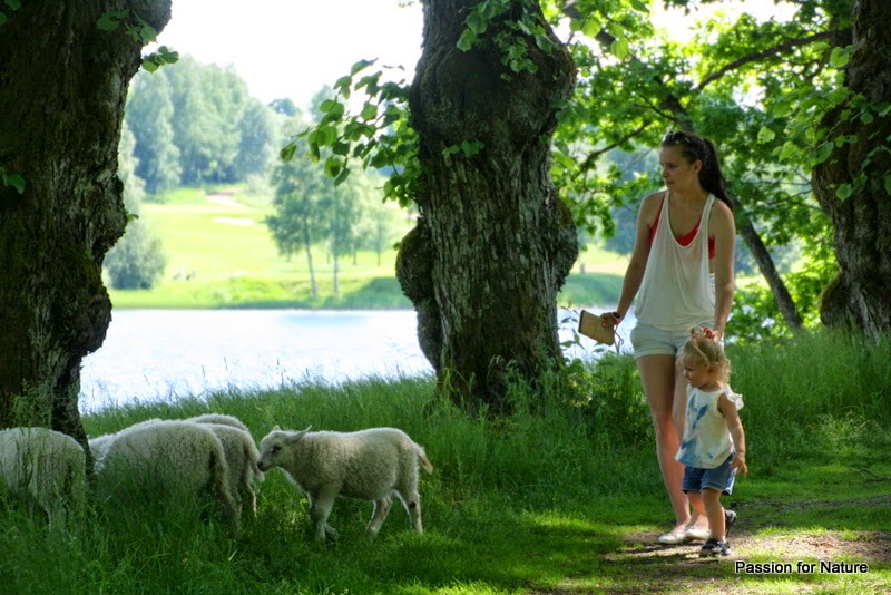 Passion for nature: Bogstad Gård Oslo