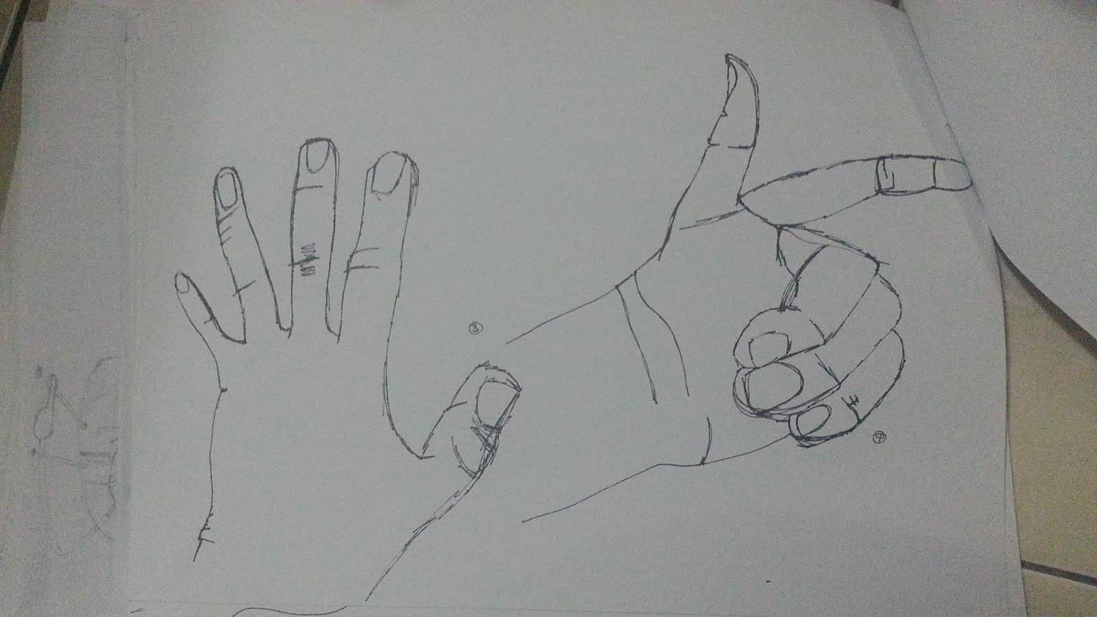 Basic Drawing: Basic Drawing | Assignment 4 | Contour Drawing