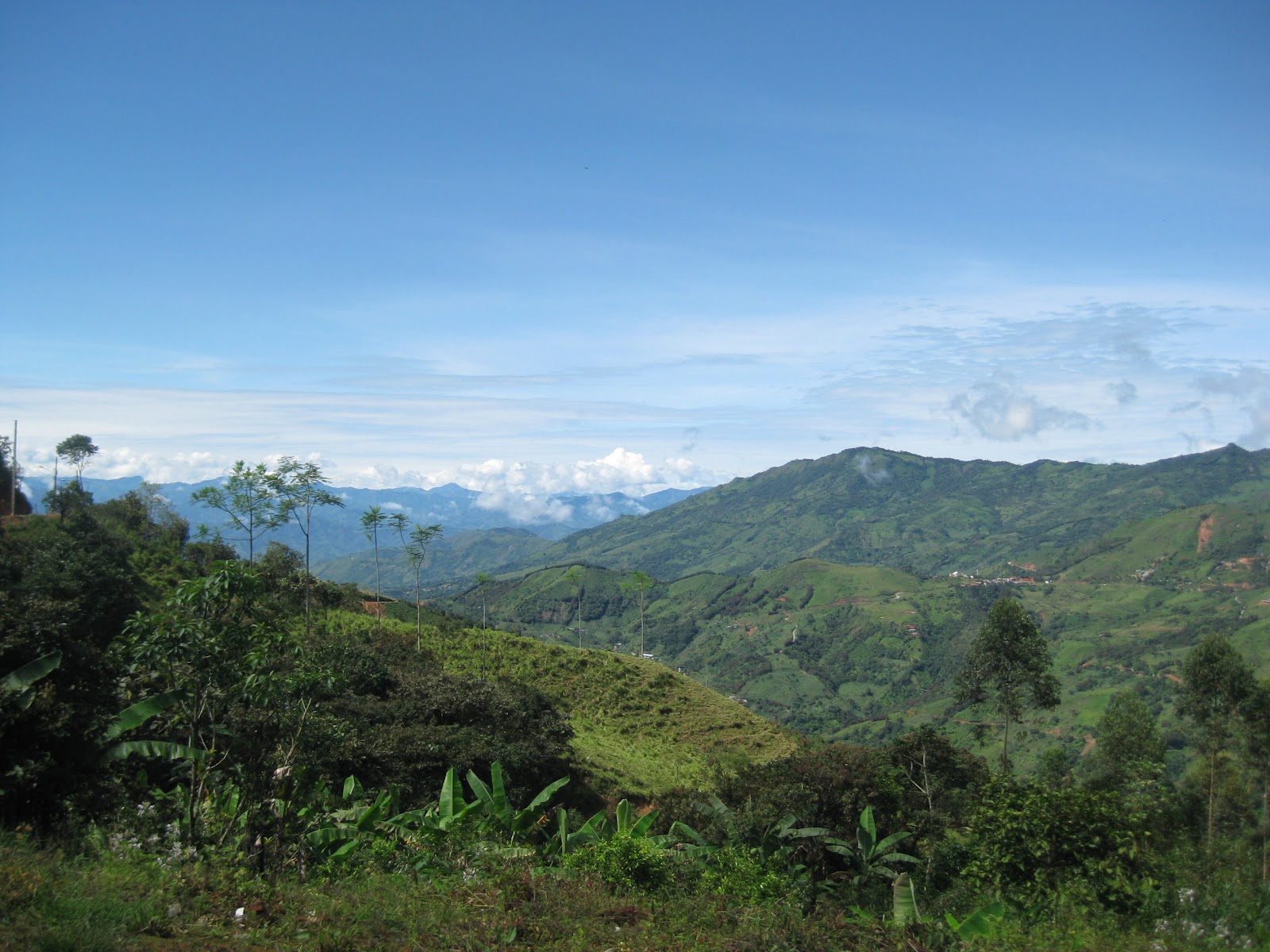 Jordan in Ecuador: Paccha, El Oro