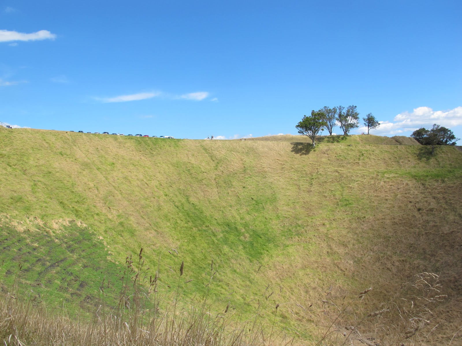 Come, walk with me.: Walking on a volcano - Maungawhau Mt Eden