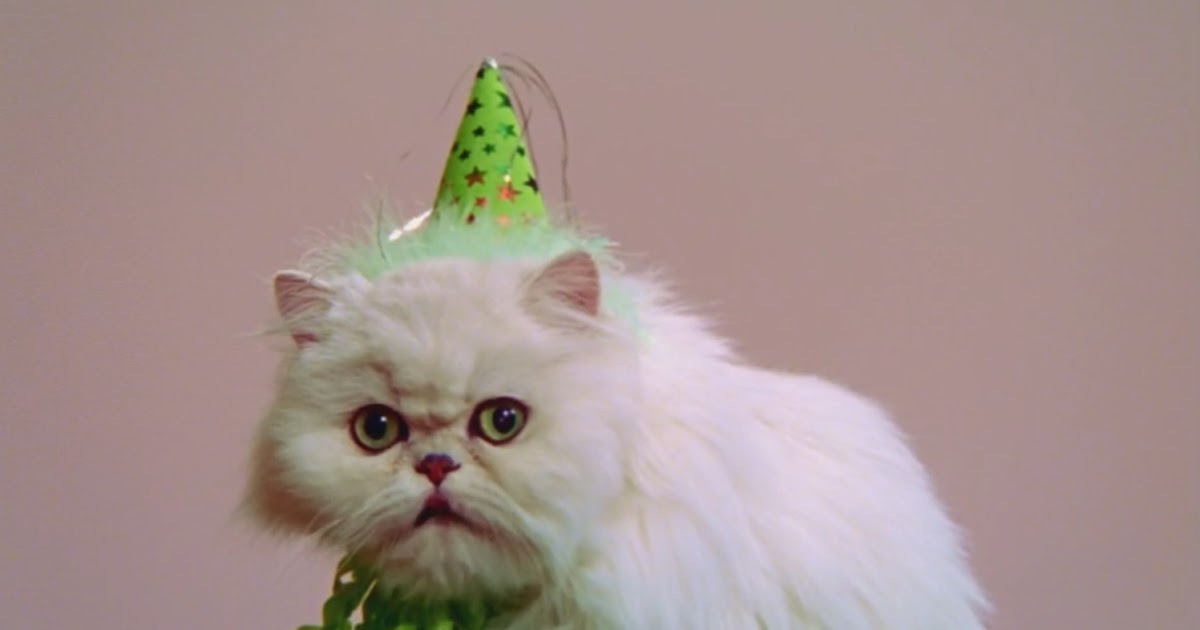 Nick Jr. estreia 'Zoofari' - Quarto Nerd