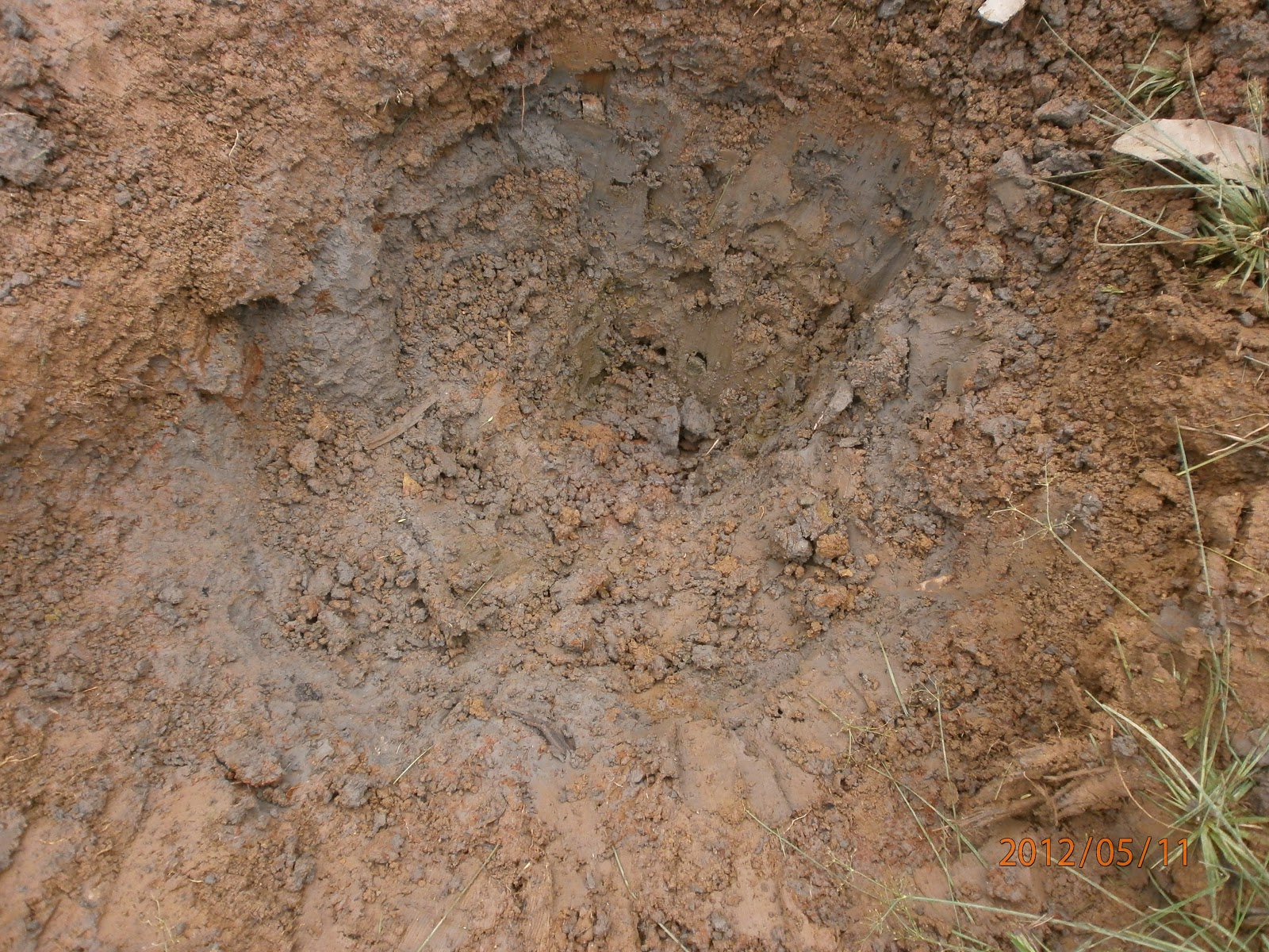 Geography: Pengambilan dan identifikasi Sampel Tanah