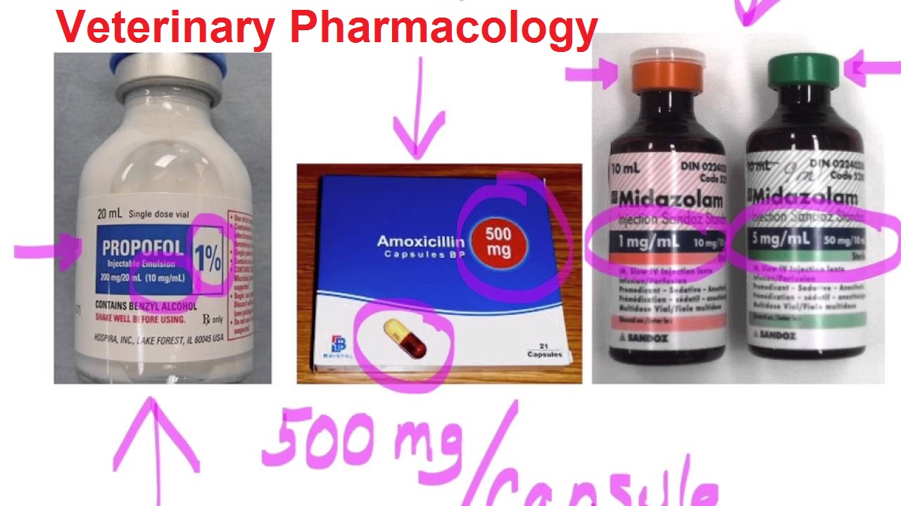 Medical calculations, part 2, Veterinary Pharmacology