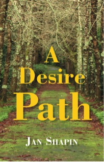 Mom in Love with Fiction: A Desire Path, Jan Shapin (3 stars)