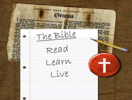 Nothing To Do With Arbroath Woman Read Bible As She Drove Along Busy nothing-to-do-with-arbroath-woman-read-bible-as-she-drove-along-busy