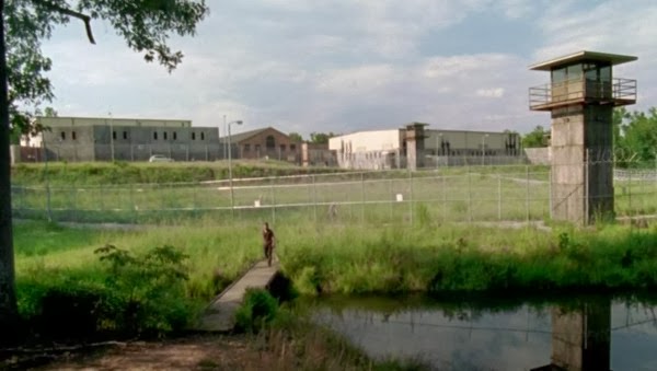 Bethany's Unit 1 Blog: P2- The Walking Dead