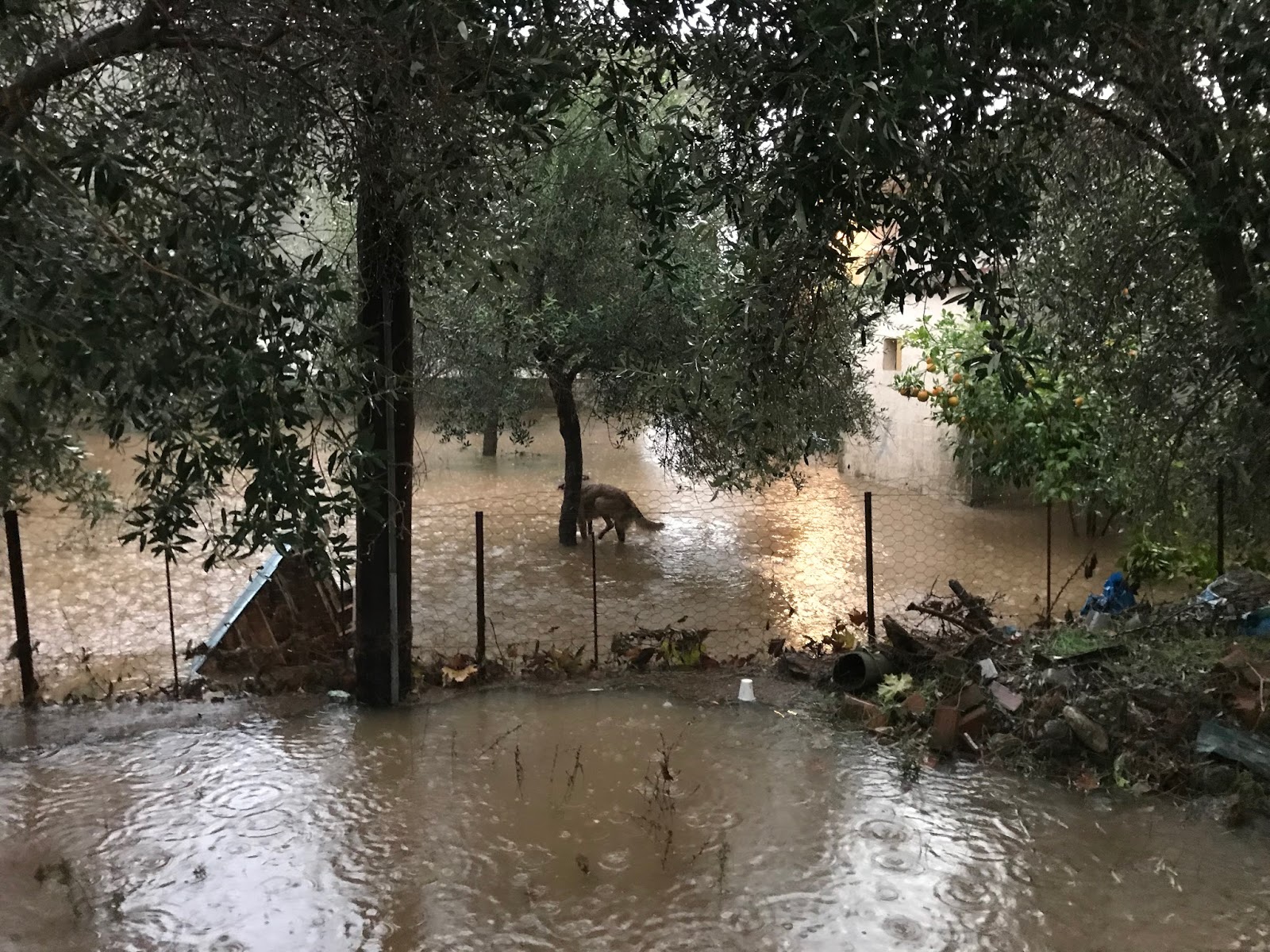 PanaitolioNews: Καταστροφές και πλημμυρισμένα σπίτια από την βροχή στο ...