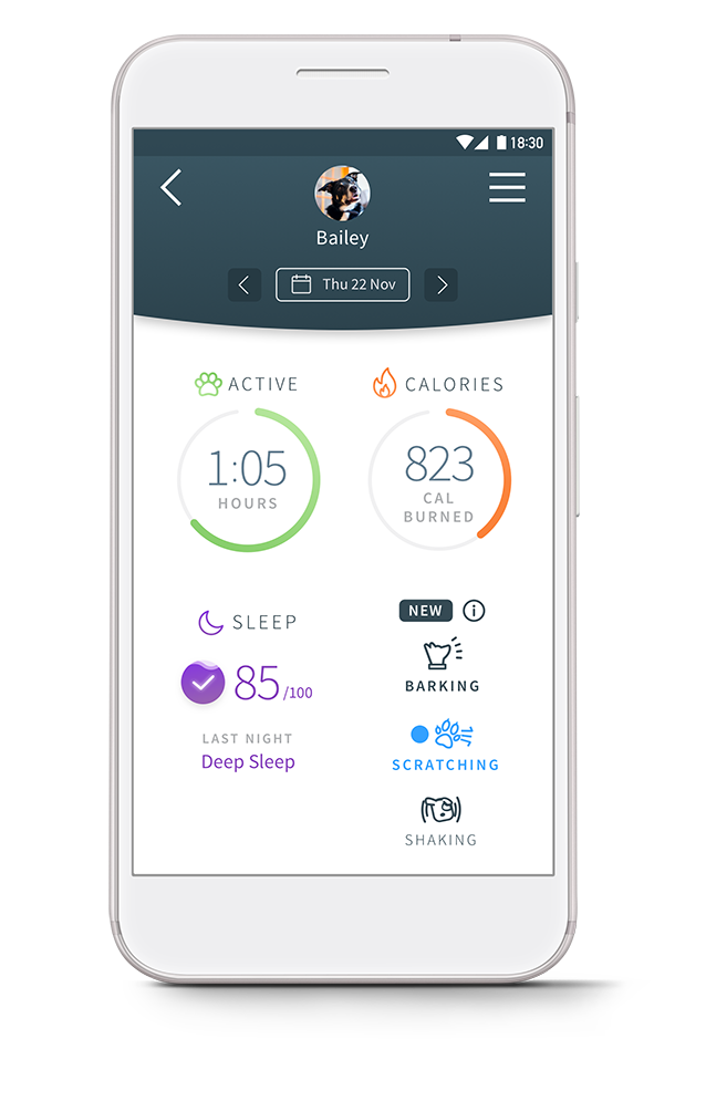 Sure Petcare Animo offers insights into your Dog's Activity and ...