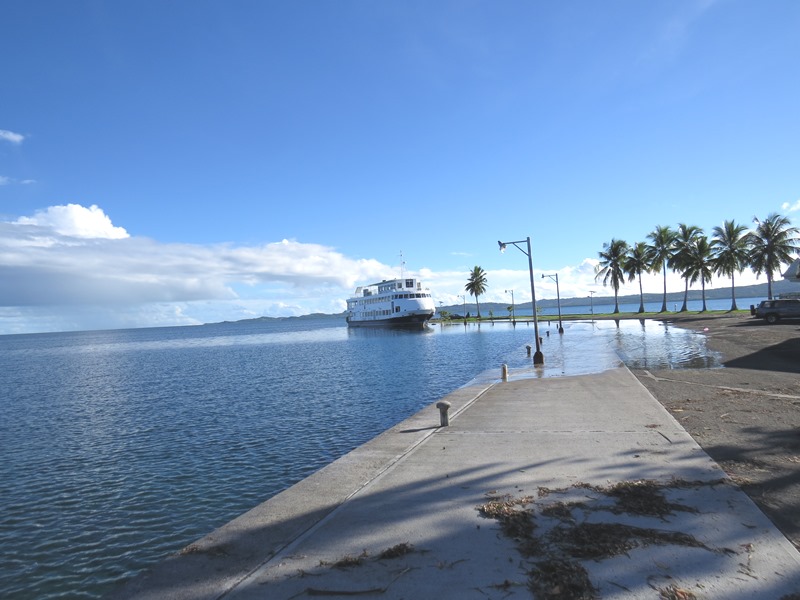 Birding for a Lark: Around Koror town, Palau