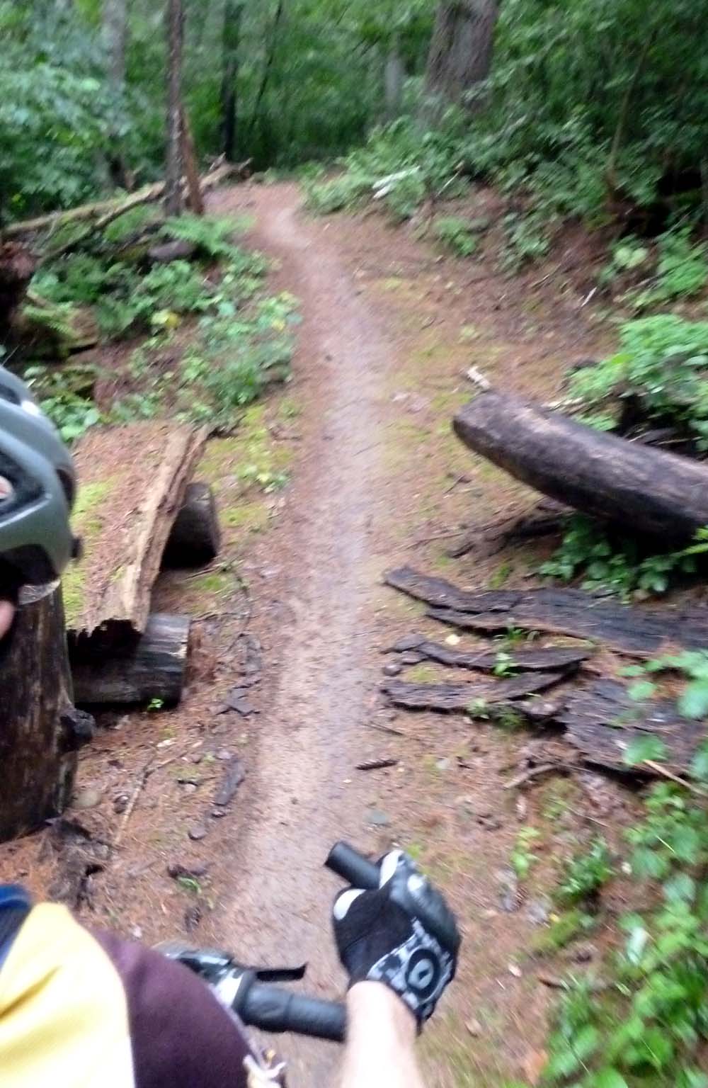 The Trail Mutt Reports: Back to camp CAMBA!