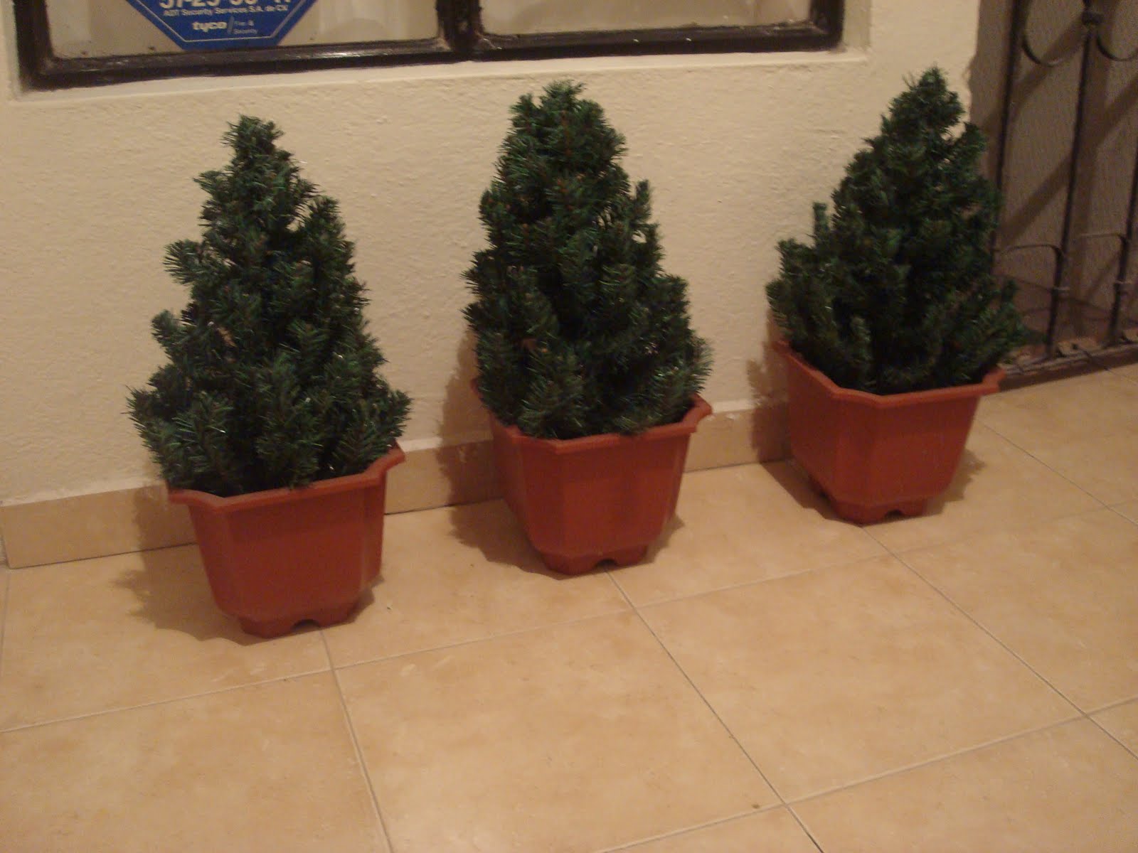 Manualidades de Aurora: Hacer plantas artificiales , Reciclando Pinos ...