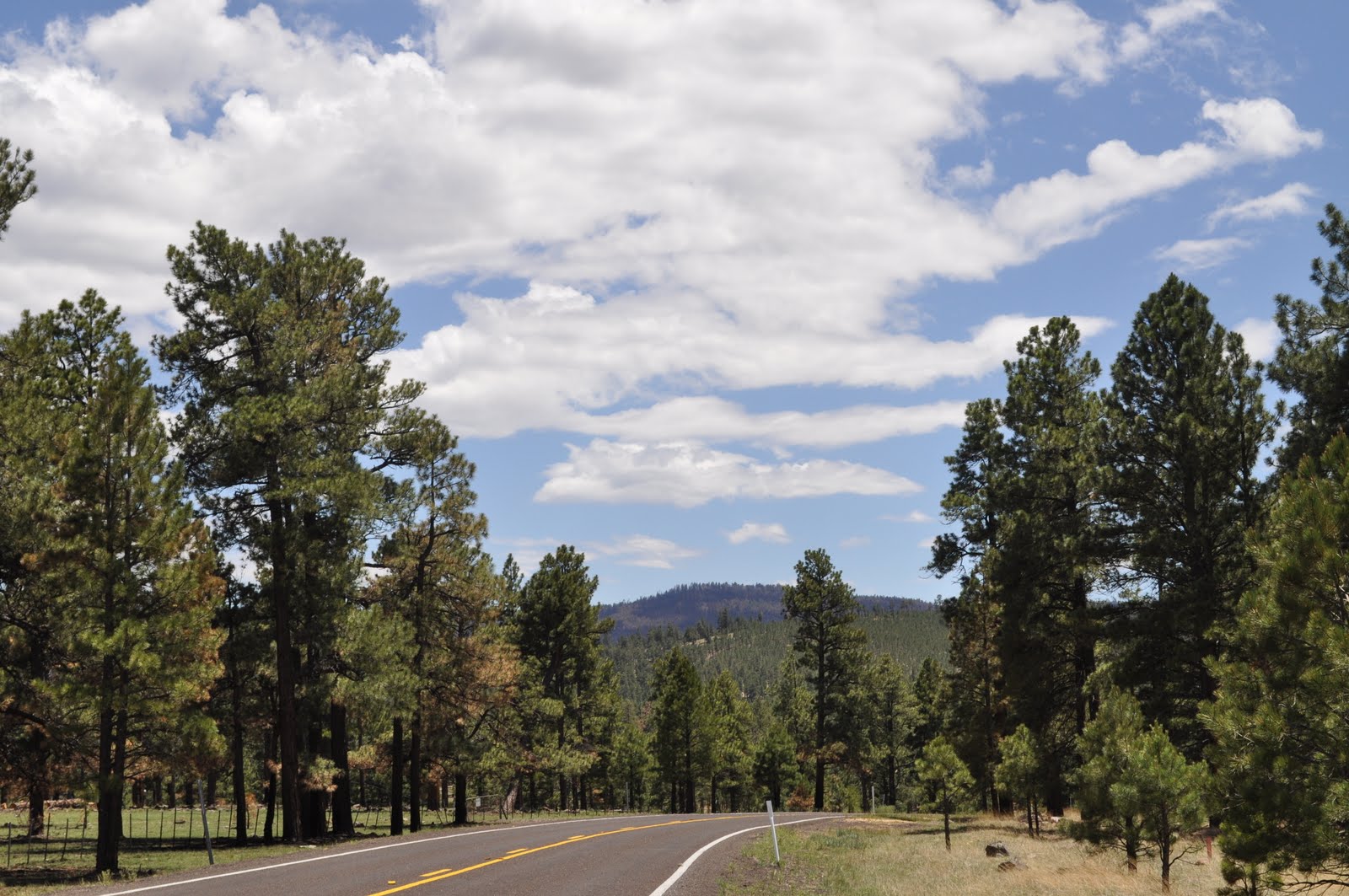 ARIZONA TRAVELER: QUICK TRIP TO GREER, ARIZONA