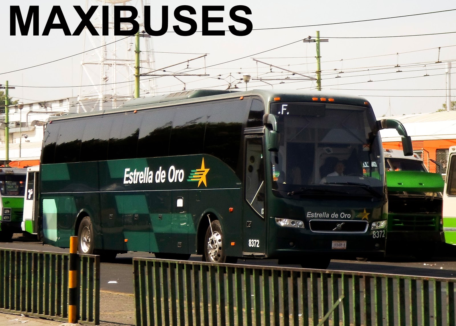 MAXIBUSES: ESTRELLA DE ORO PLUSS