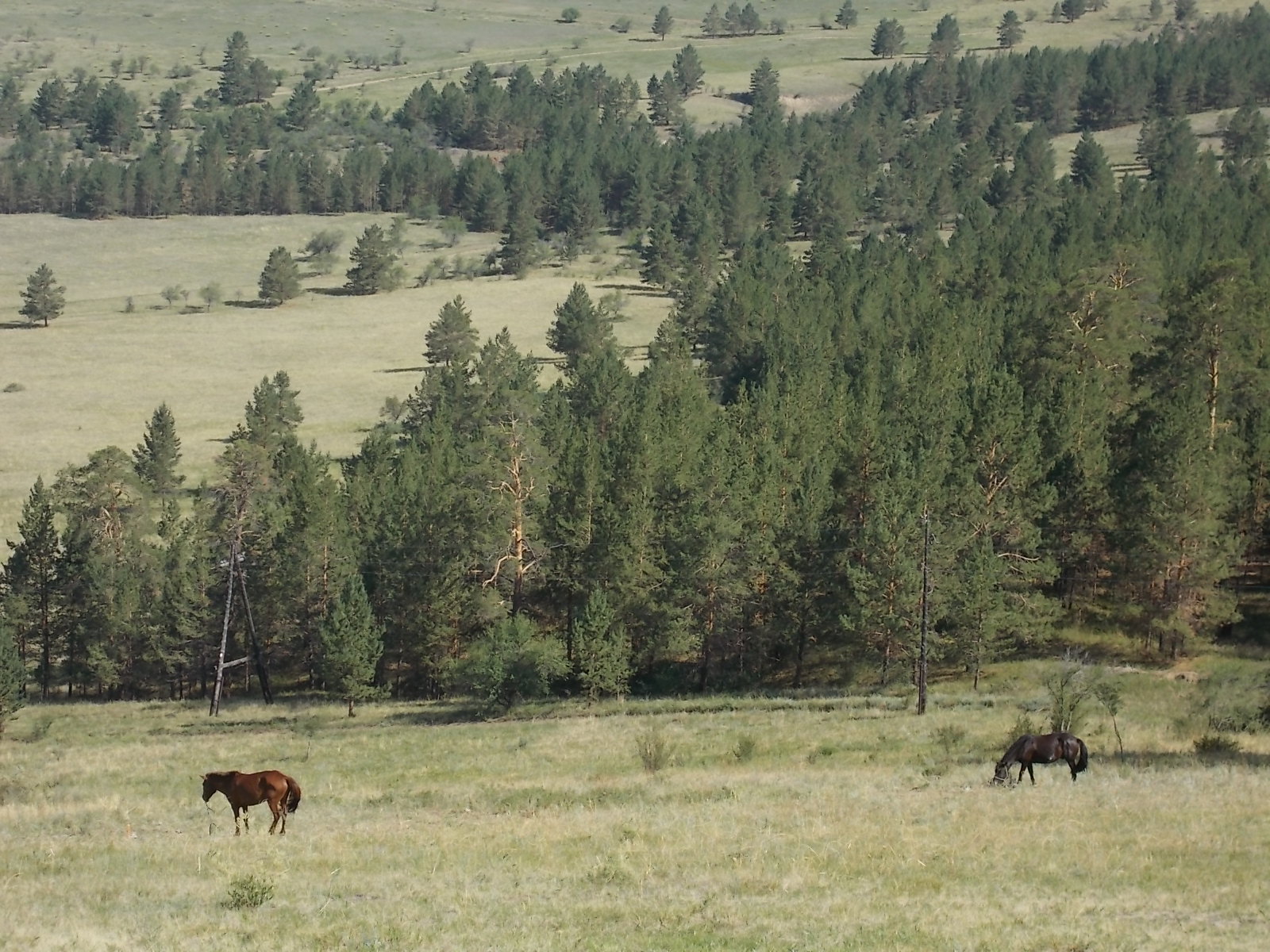 BOBBA CAPS DOXOLOGY: AUG 24, 15 .. MONGOLIA'S SAIHNII HUTUL NATIONAL ...