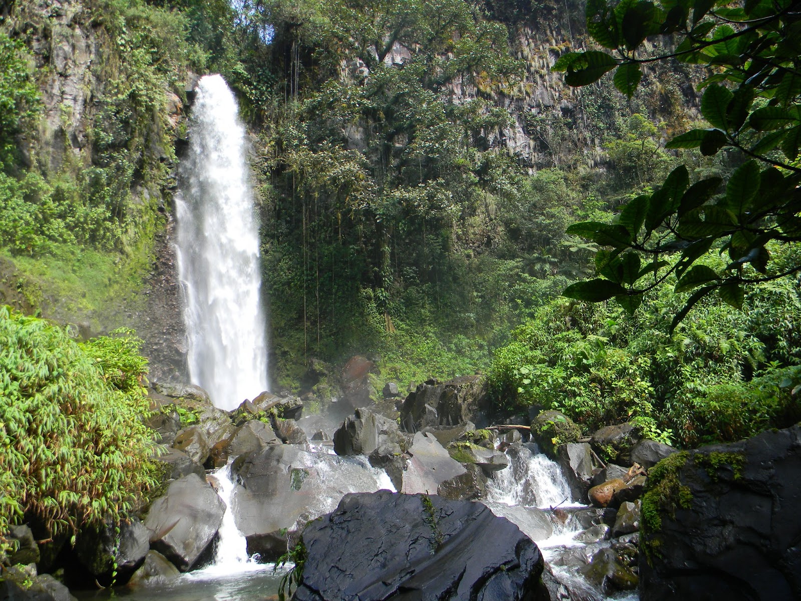 SENDERISMO CHIRICANO: Cascadas en la provincia de Chiriquí