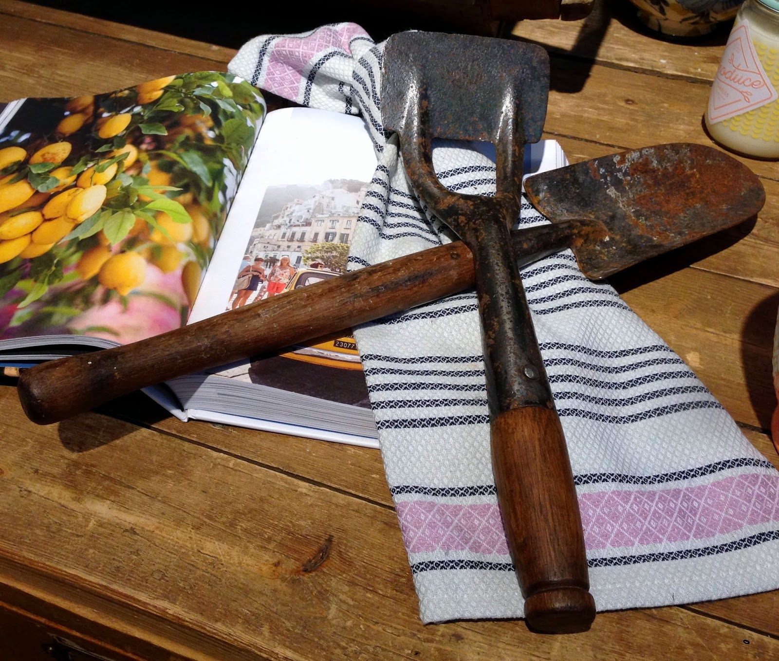 Springtime is Served! - HYACINTHS FOR THE SOUL