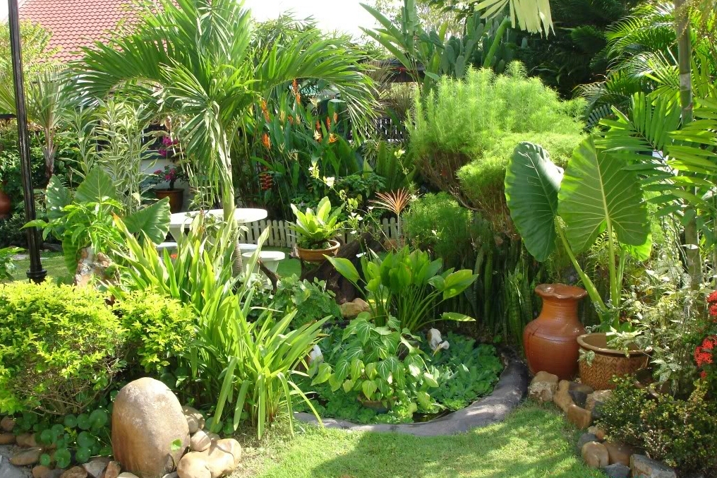 Tips membuat taman hemat biaya - Tukang Rumput & jasa pembuat taman