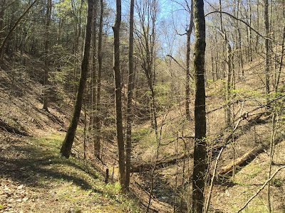 Wandering Virginia: Sprouts Run/Wilson Mountain Loop: Jefferson ...