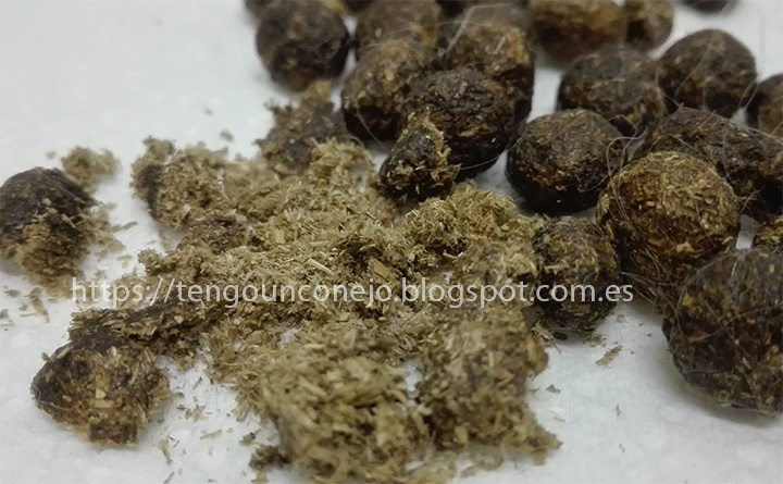 Observa sus cacas ~ Tengo Un Conejo