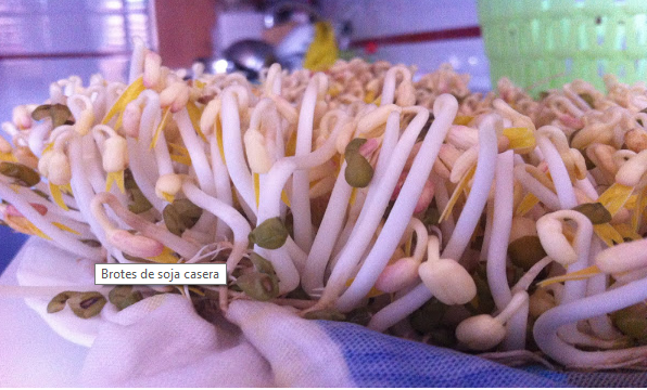 Consultoria Experta en negocios de Agricultura, Ganaderia y Forestales ...