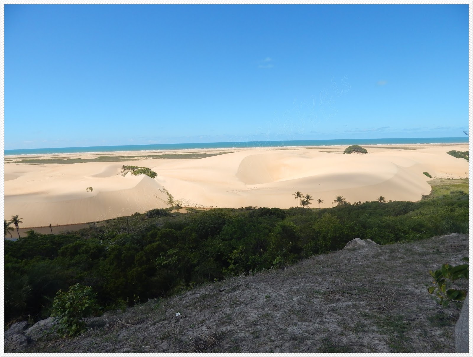trilha dos invisíveis : Praia de Pirambu - SE