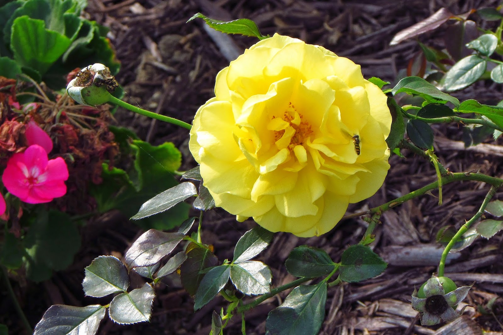 Life In Robin's Nest: October is Never Long Enough