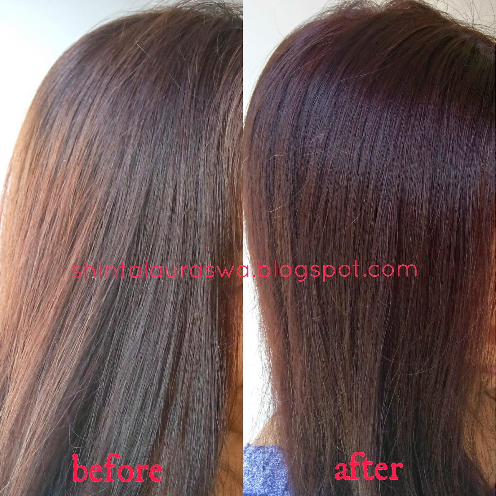 Cat Rambut Garnier Burgundy - Katalog Model Rambut 2019