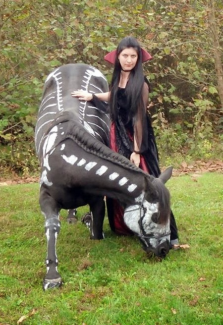 Horse Skeleton Halloween Costume | Inspiring Design - S7eep