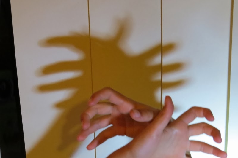 Be Our Best: Hand Shadows