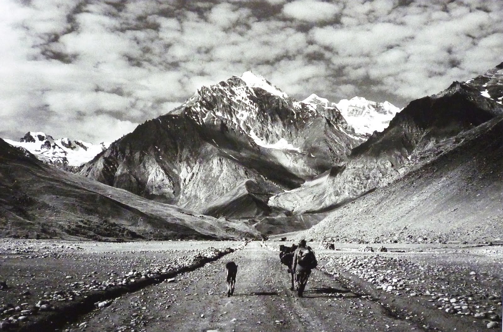 Nederlandse kunstenaarsboeken deel 1 (de jaren '70 en '80): Hamish ...